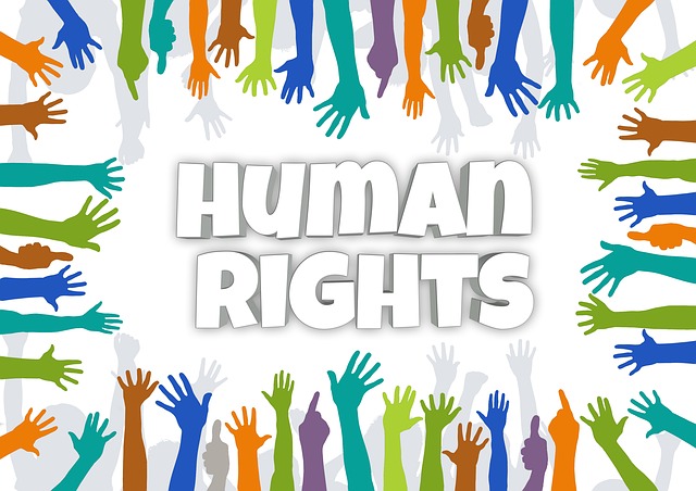 Realisation of human rights to health and through health - Redbioética ...