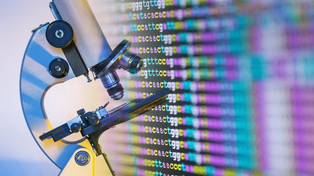 Sexo biológico y regulación de genes - Redbioética/UNESCO